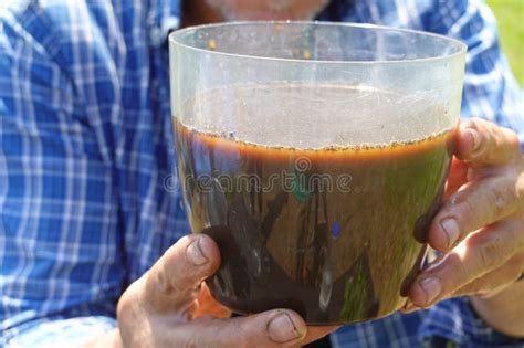 Homemade Preparation For Watering Plants Homemade Fertilizer To
