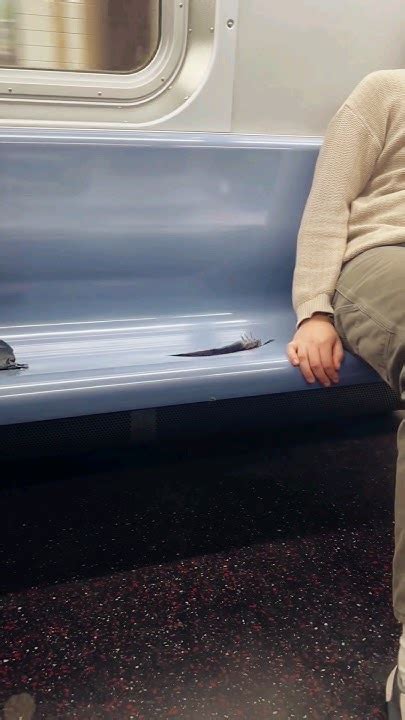 Зараза в московском метро метро Москва москвасити мем прикол