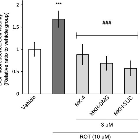 Mitochondrial Respiratory Chain Complexes Respiratory Chain Complexes