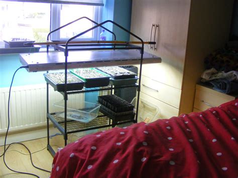 Freaky Stuff To Do In The Bedroom Hustlerinspire