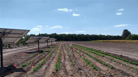 NMSU To Host Community Meeting On Agrivoltaics