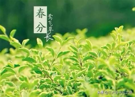 2021年春季雨水會多嗎？春分天氣能預測 每日頭條