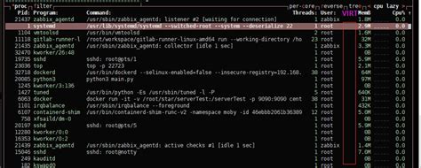 Virtual Memory Usage Information Of Process · Issue 471 · Aristocratos