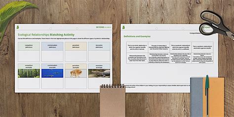 Ecological Relationships Matching Activity Teacher Made