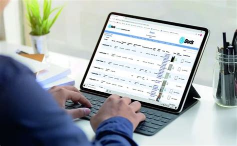 Borissoftware Digitaltransformation Utilitiesmanagement Boris Software Ltd