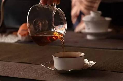小青柑網紅界一股清流 每日頭條