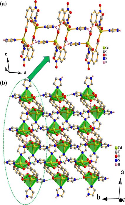 A Supramolecular Assembly Of 1d Chain Through Hydrogen Bonds In 2 B Download Scientific