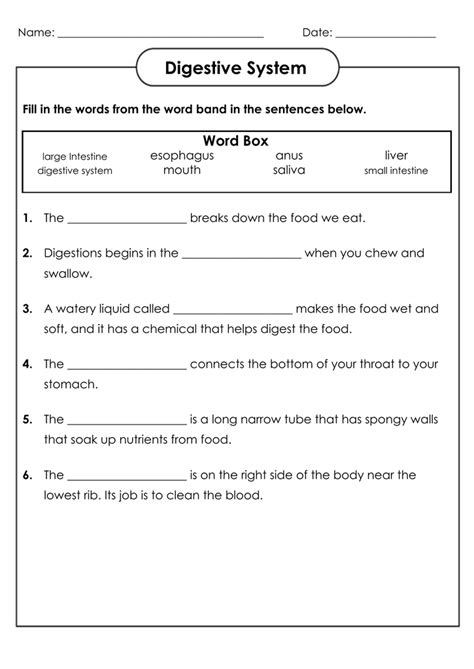 Free Free Printable 4th Grade Science Worksheet Download Free Free