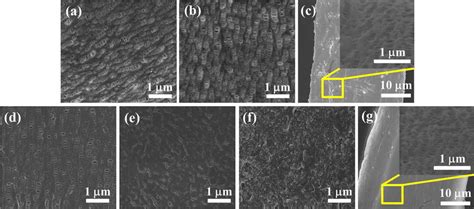 SEM Images Of Bare PP Separator A UV Irradiated PP Separator B Download Scientific
