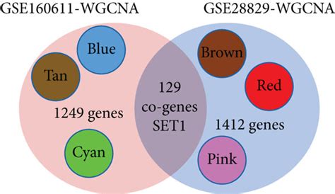 Weighted Gene Coexpression Network Analysis Wgcna A The Cluster