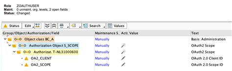 Oauth Configuration 3 Add Authorization Sscope To Oauth 20 Client