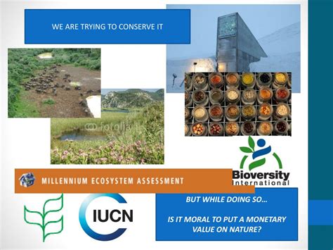 Ppt Value Ethics Behind B Iodiversity Conservation L Aw Powerpoint