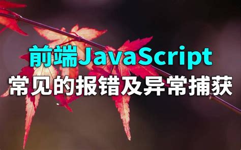 前端javascript 常见的报错及异常捕获 知乎