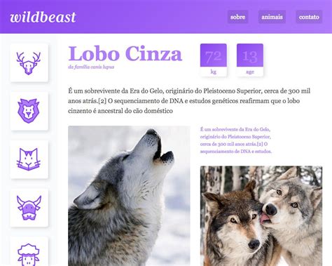 Beatriz Rodrigues On Linkedin Html Css Frontend Grid