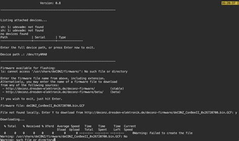 How To Update Conbee II On Hassio With Deconz Phoscon Integration