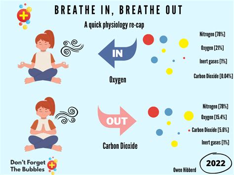A Beginners Guide To Capnography Dont Forget The Bubbles