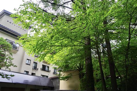 一雨ごとに秋に スタッフの四季の移ろい 楽天ブログ
