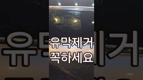 자동차 유막제거해야 되는 이유 비오는 날 잘보이지 않는 이유 자동차유막제거 유리유막제거 디테일러명 Youtube