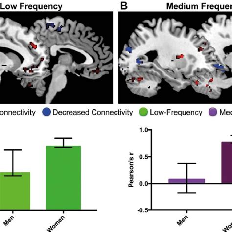 Whole Brain Bmi Related Intrinsic Activity Connectivity In Men And