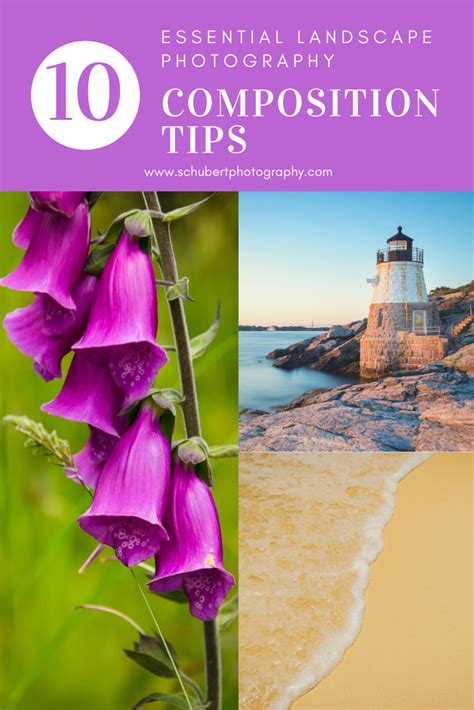 Composing Landscape And Nature Photography Shots For Greater Impact Is
