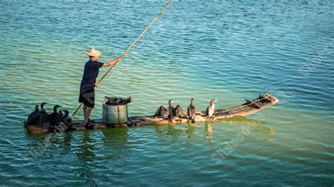 Best Water Bamboo Powerpoint Background For Presentation
