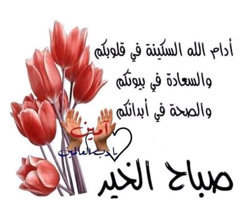 Esaam Gowely Posted On Linkedin