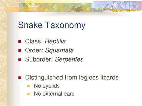 Ppt Snake Management Powerpoint Presentation Free Download Id5775197