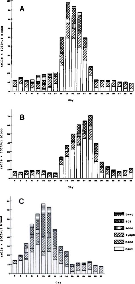 Basophil Differentiation Semantic Scholar