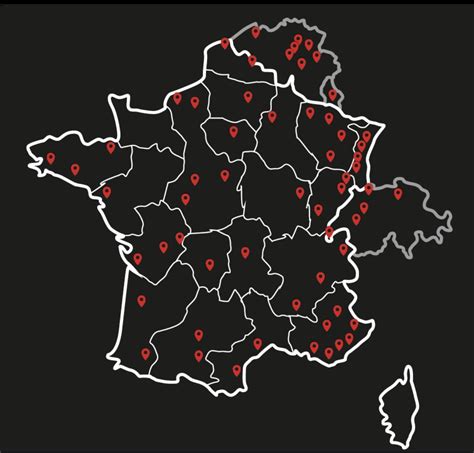 Destruction nid de guêpes et frelons DKM Experts