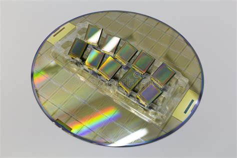 Siliziumscheiben Und Gebrauchsfertige Mikrochips Die In Einem Behlter