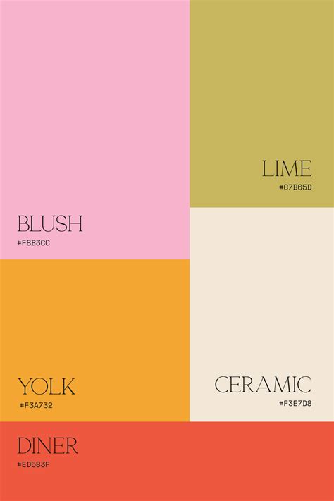 Our Top Tips For Choosing Your Brands New Colour Palette Studio Pie