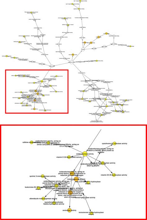 Biological Processes Enriched By Genes Identified By Predictive Models Download Scientific