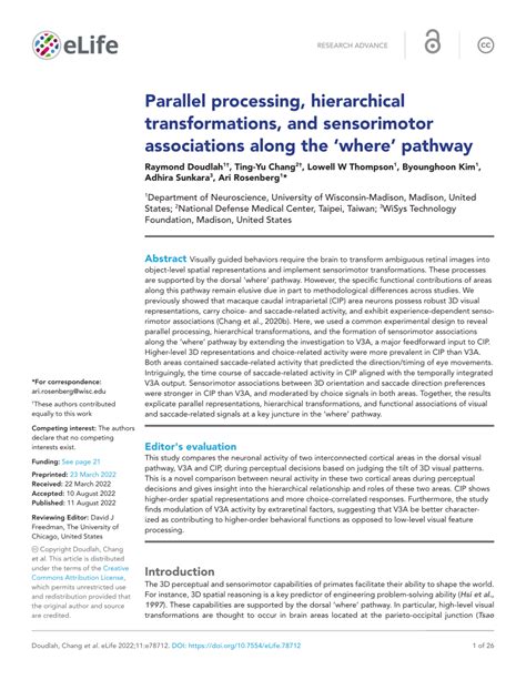 Pdf Parallel Processing Hierarchical Transformations And Sensorimotor Associations Along The