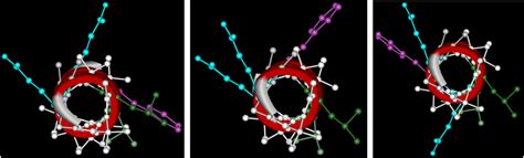 Total Synthesis Of The Natural Medium‐length Peptaibol Pentadecaibin