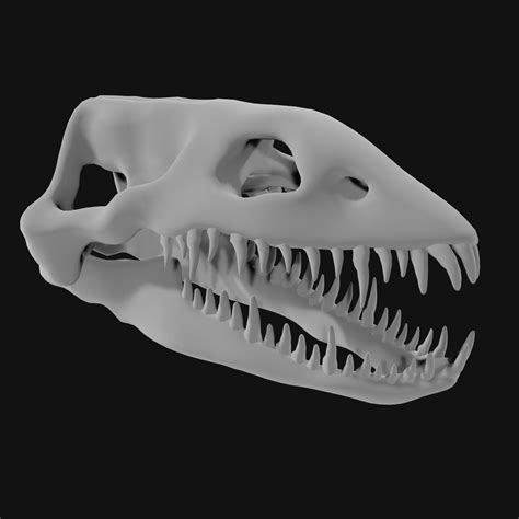 3d Model Plesiosaur Skull Turbosquid 1972523