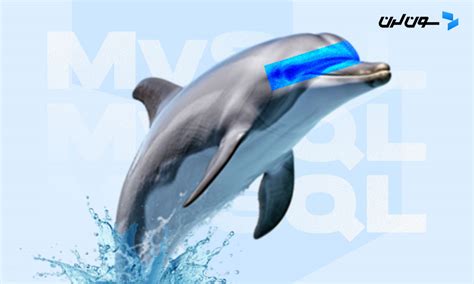 Mysql چیست مزایا و معایب مای اس کیو ال