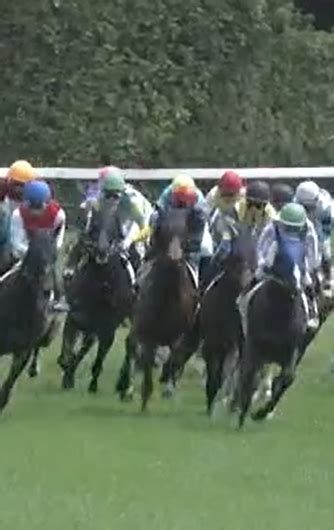2024年9月21日 中山競馬予想 中央競馬、地方競馬コンピ予想ブログ