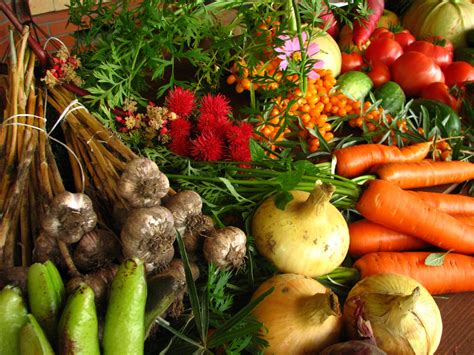 Grow North aims to get you growing your own food - My Prince George Now