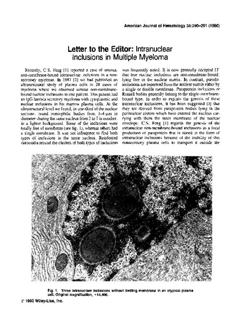 Pdf Intranuclear Inclusions In Multiple Myeloma