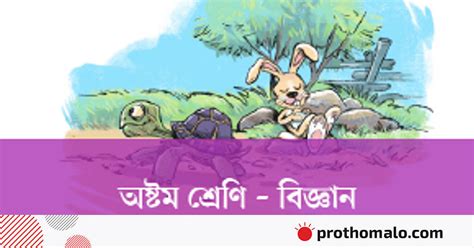 অষ্টম শ্রেণি বিজ্ঞান অধ্যায় ৩ বহুনির্বাচনি প্রশ্ন ১১ ২০ প্রথম আলো