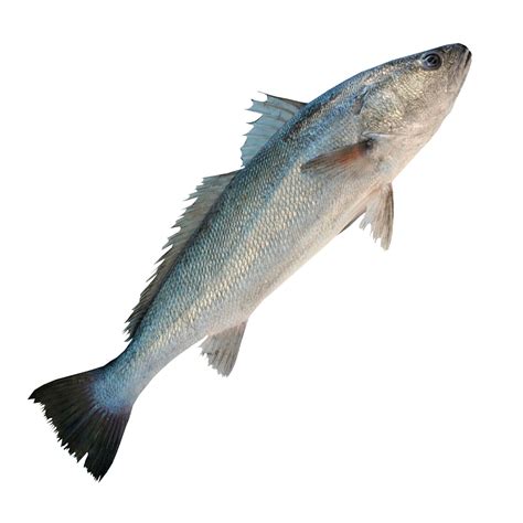 3 무료 소무ㅏㄴ And 소무르 이미지 Pixabay