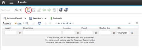 Can T Disable The Create New Record Button When Using An Application