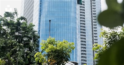 Green Tree Near High Rise Building During Daytime Photo Free East