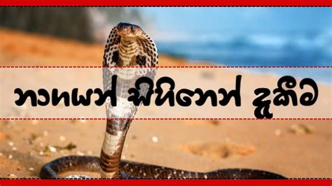 නාගයන් සිහිනෙන් දැකීම Youtube