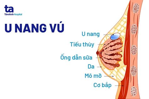 Nang V U Nang Tuy N V Nguy N Nh N Tri U Ch Ng V Ch N O N