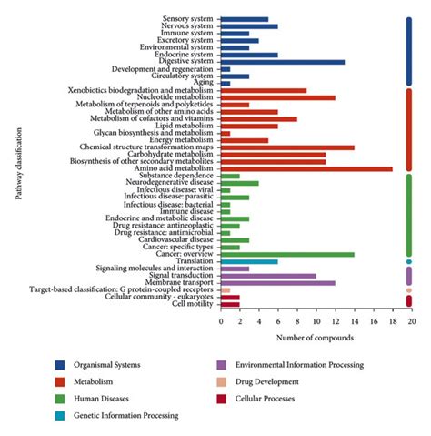 kegg functional pathway statistics download scientific diagram