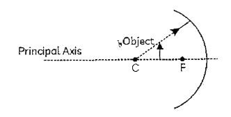 While Looking At The Above Diagram Nalini Concluded The Following