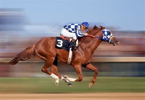 Secretariat Just A Part Of Virginias Rich Thoroughbred History Xhyy