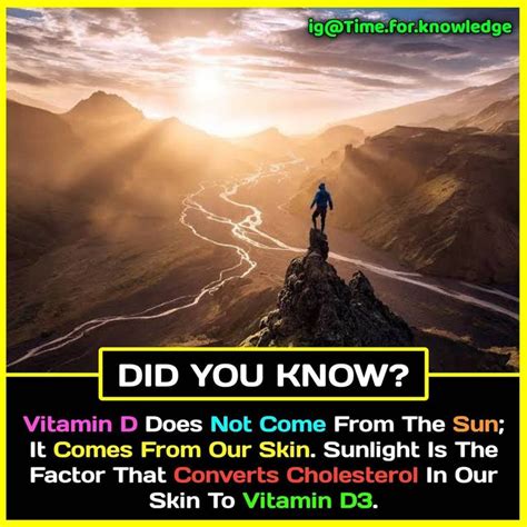 Time For Knowledge On Instagram “the Major Natural Source Of The Vitamin Is Synthesis Of