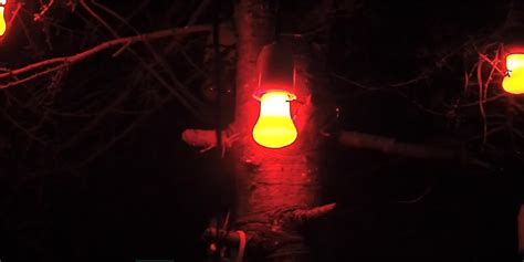 Patrick Theron Patterson The American University Of Rome